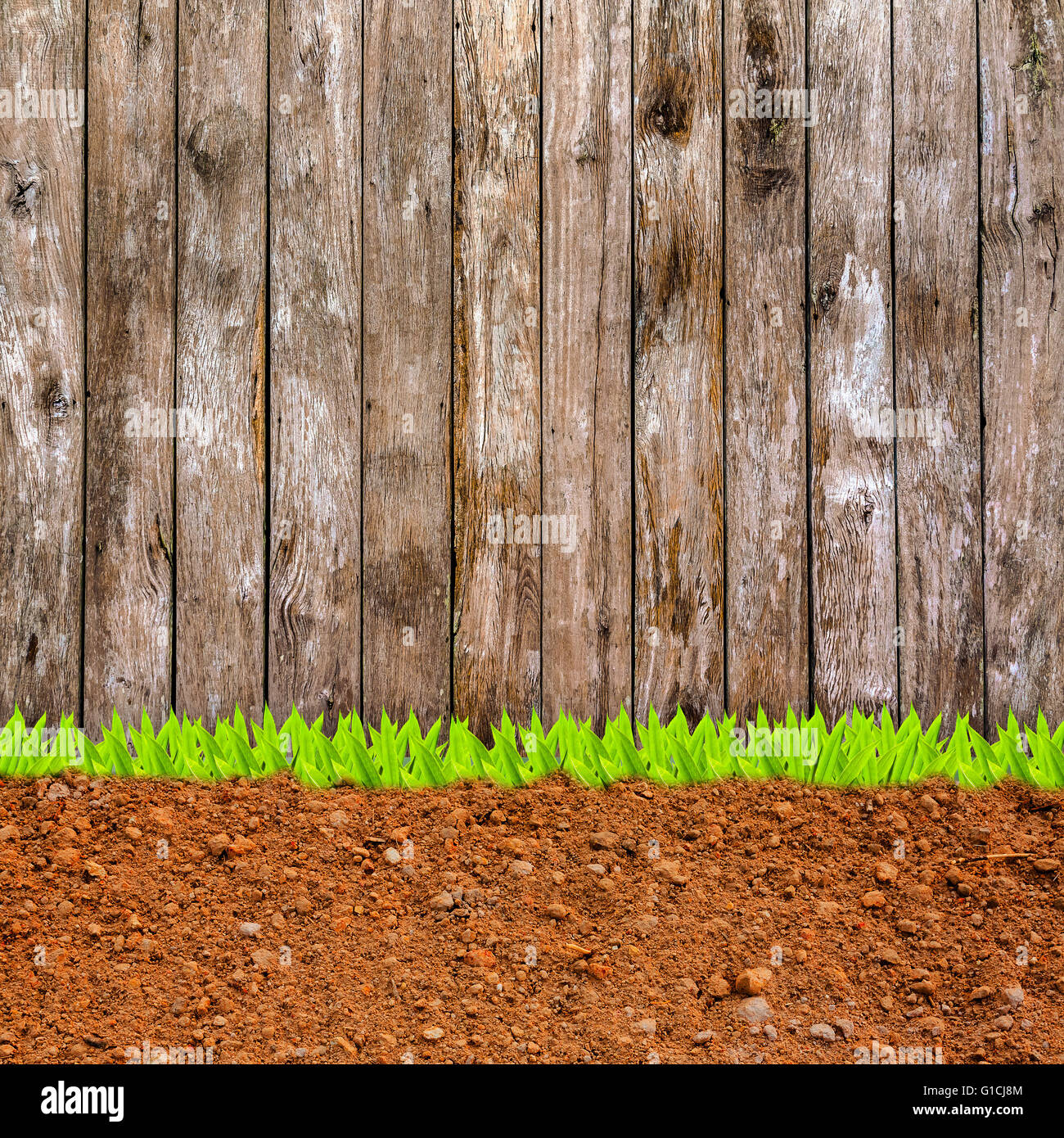 Querschnitt durch Gras und Erde gegen Holz Wand Stockfotografie - Alamy