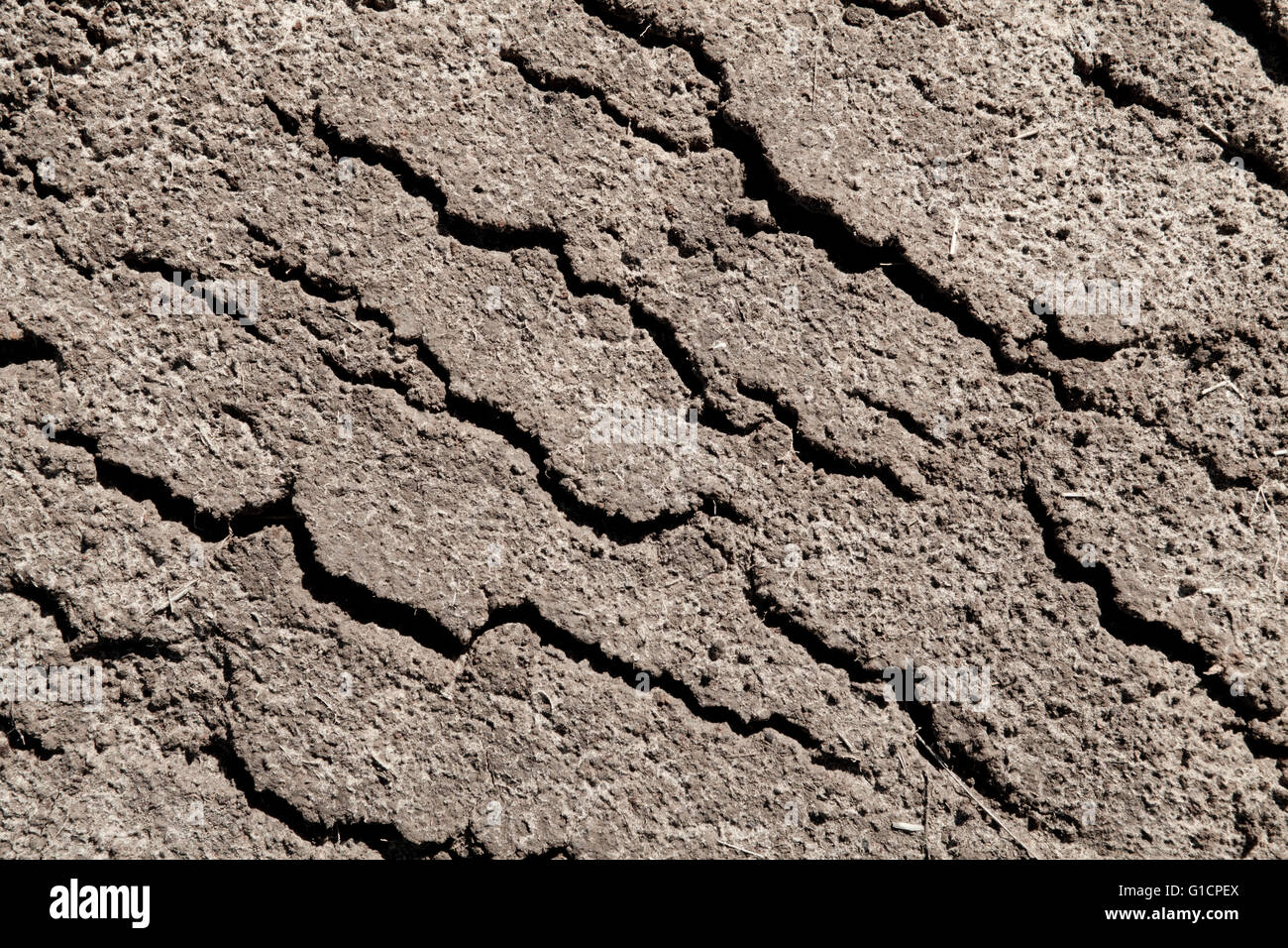 Ground texture -Fotos und -Bildmaterial in hoher Auflösung – Alamy