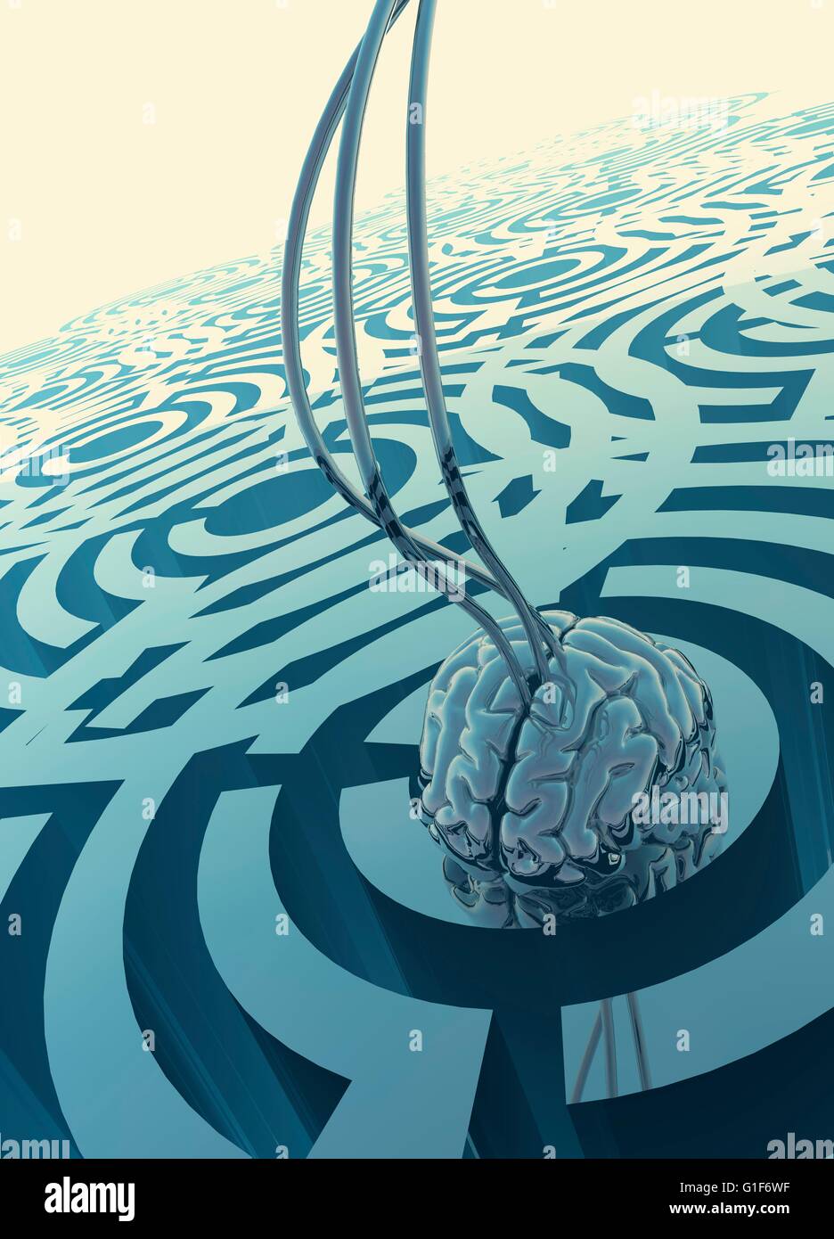 Brain labyrinth -Fotos und -Bildmaterial in hoher Auflösung – Alamy