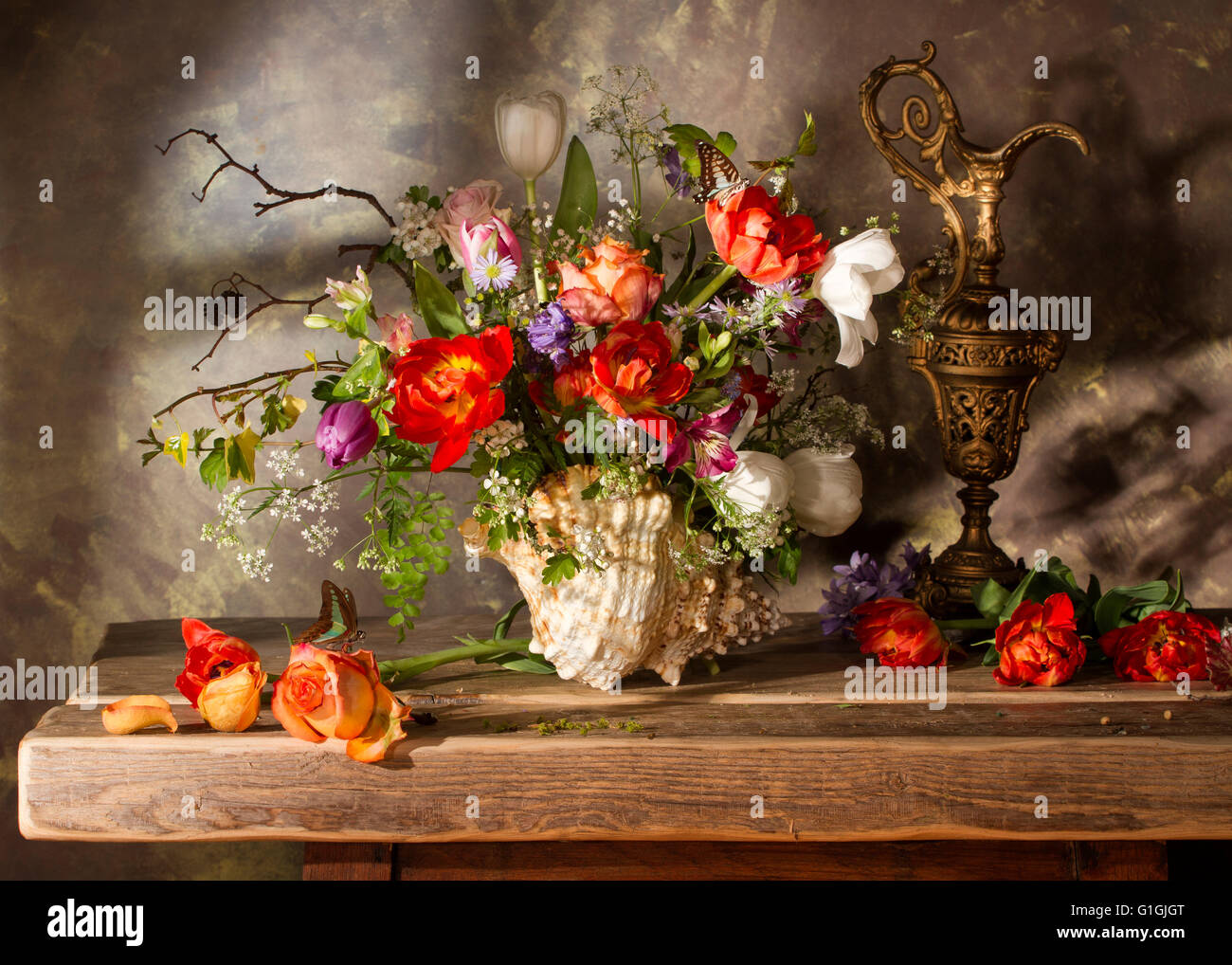 Frosch und muschel -Fotos und -Bildmaterial in hoher Auflösung – Alamy