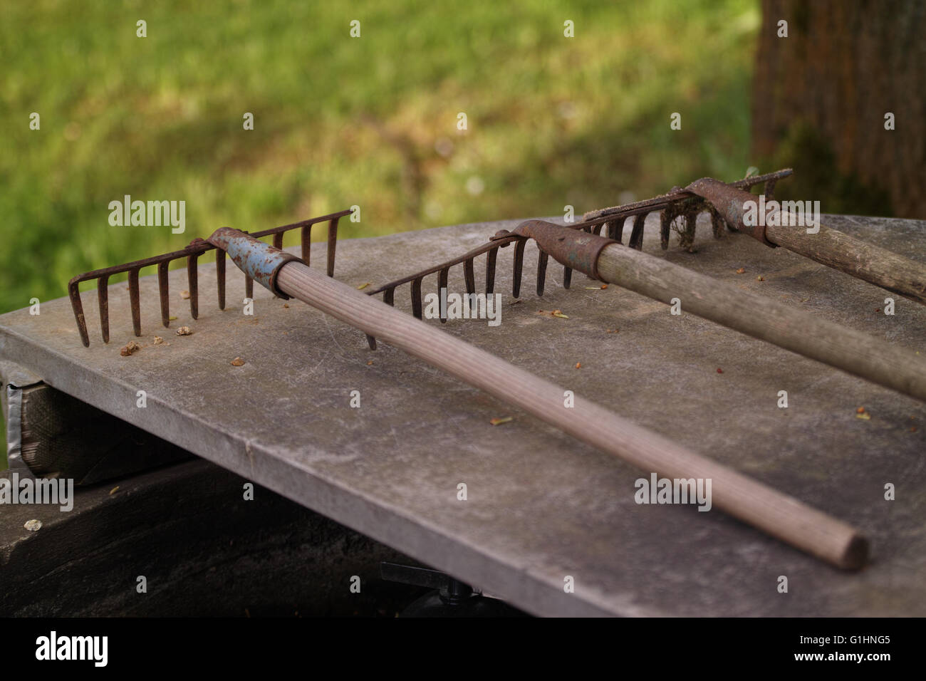 Werkzeug rechen -Fotos und -Bildmaterial in hoher Auflösung – Alamy