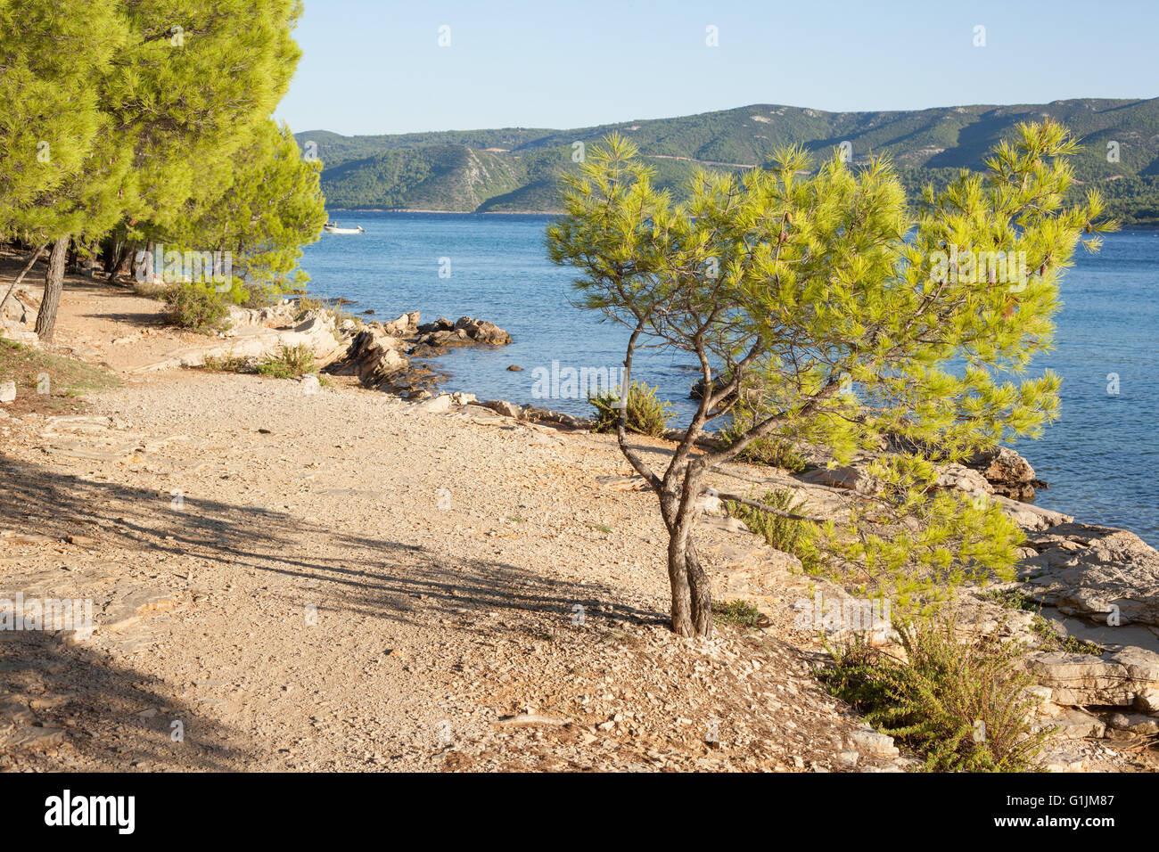 Kiefer strand -Fotos und -Bildmaterial in hoher Auflösung – Alamy