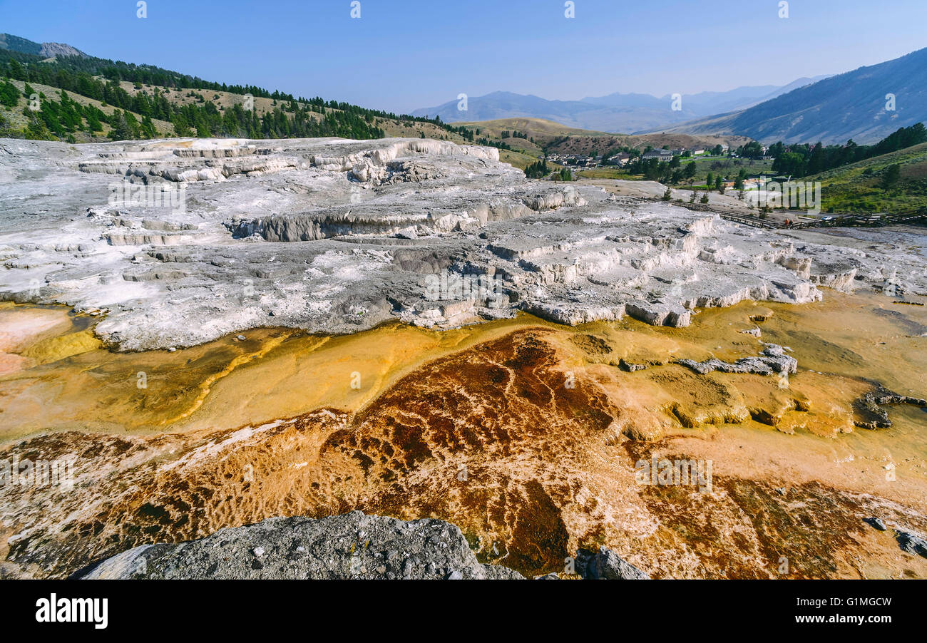Calcium deposits -Fotos und -Bildmaterial in hoher Auflösung – Alamy