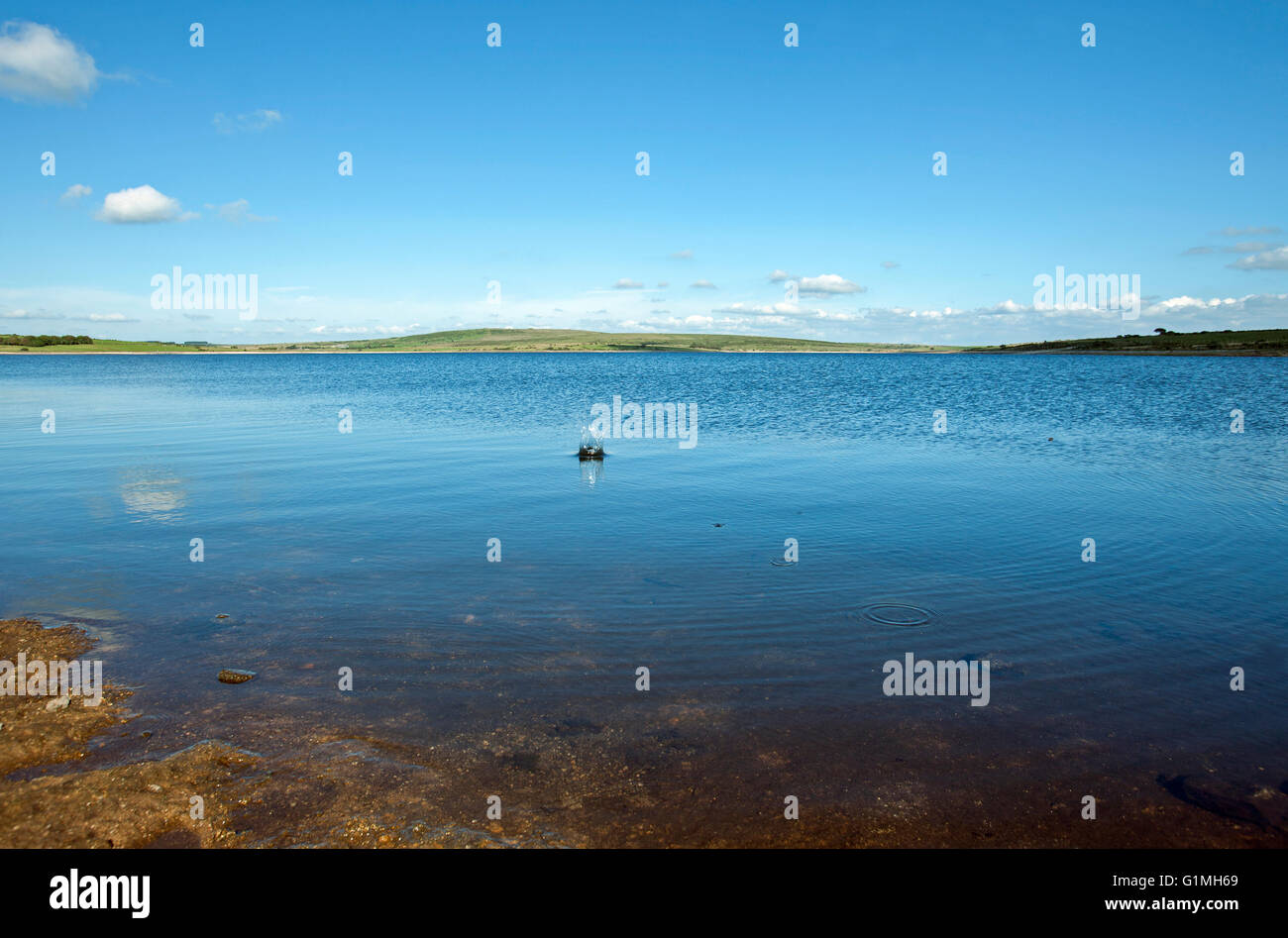 Auf stiller see blauer himmel colliford reservoir Stockfotos und ...