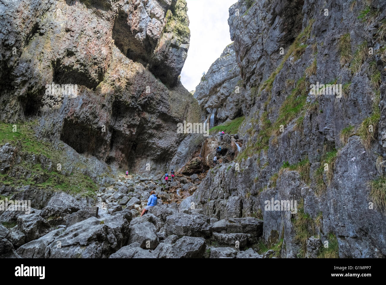 Die narbe -Fotos und -Bildmaterial in hoher Auflösung – Alamy