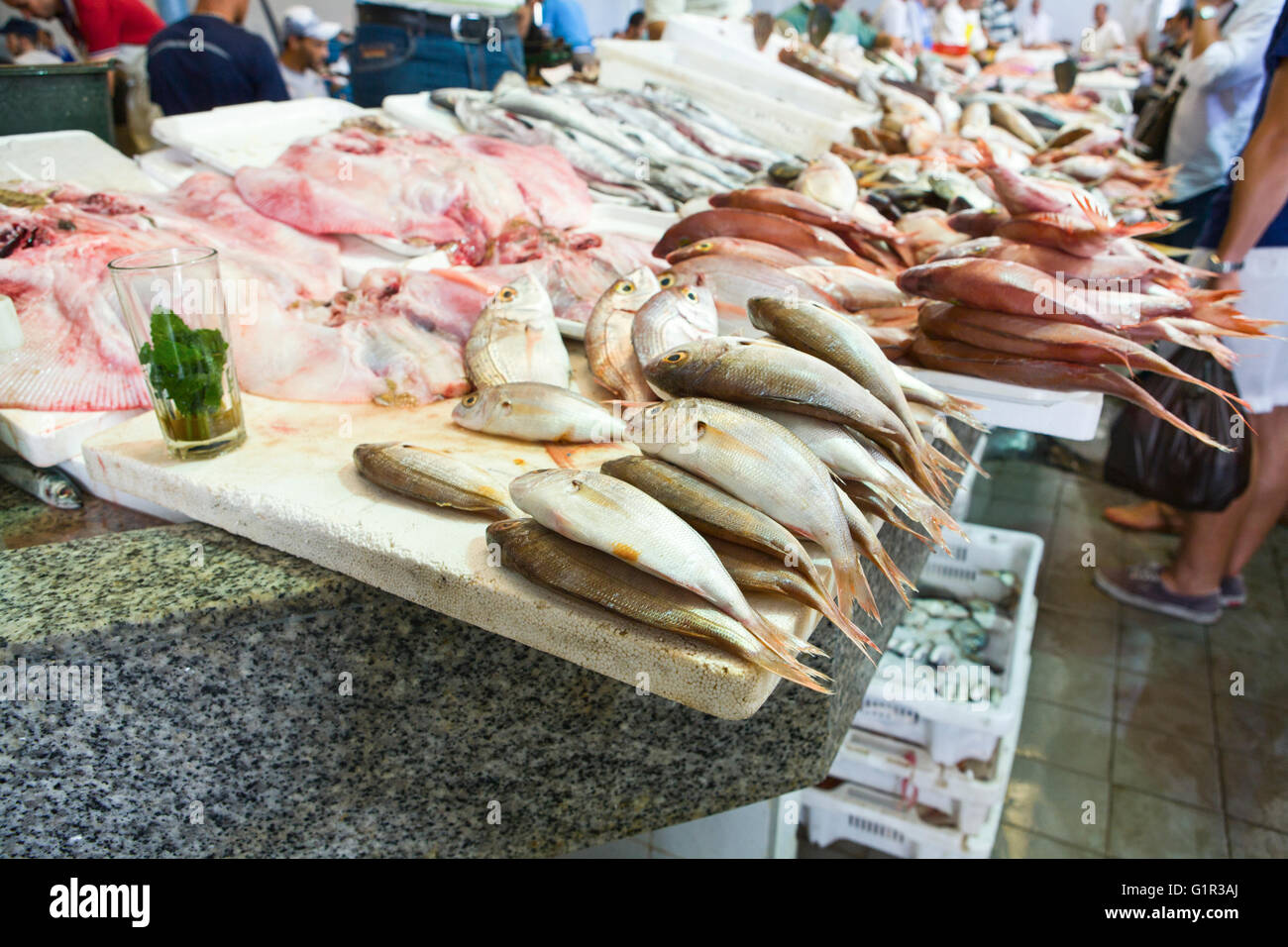 Fish market tangier morocco -Fotos und -Bildmaterial in hoher Auflösung ...