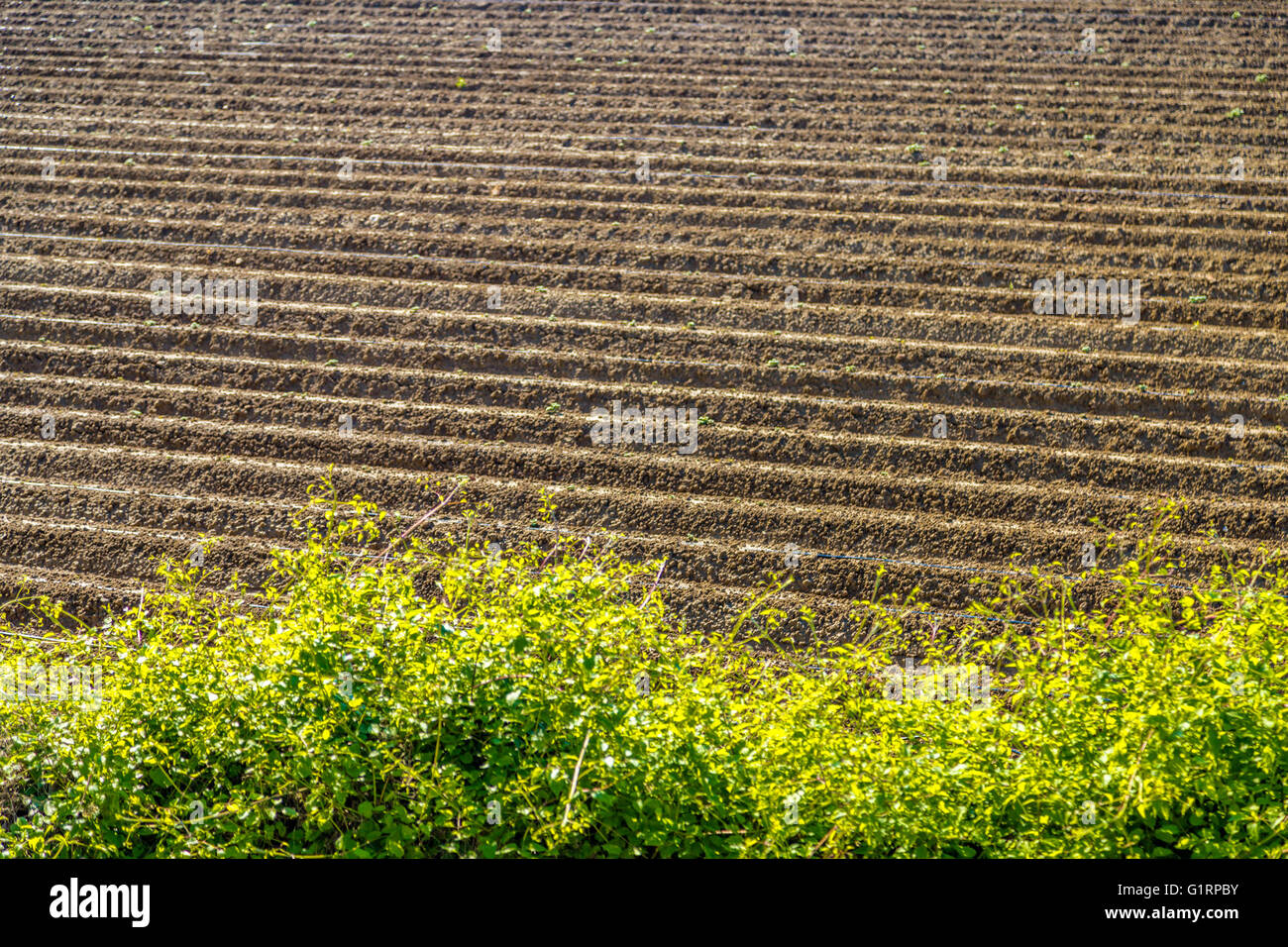 Die furchen -Fotos und -Bildmaterial in hoher Auflösung – Alamy