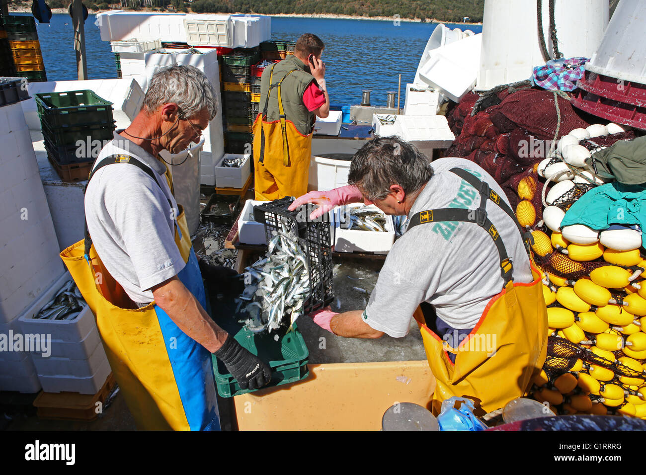 Rabac fisch -Fotos und -Bildmaterial in hoher Auflösung – Alamy