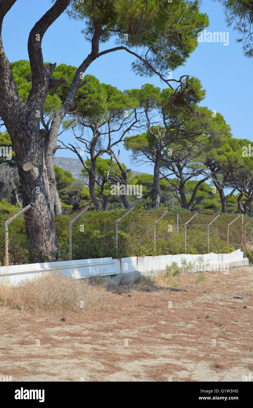 Ein Tag am Strand mit der Familie. Strand Schinias Marathonas Stadt 42 ...
