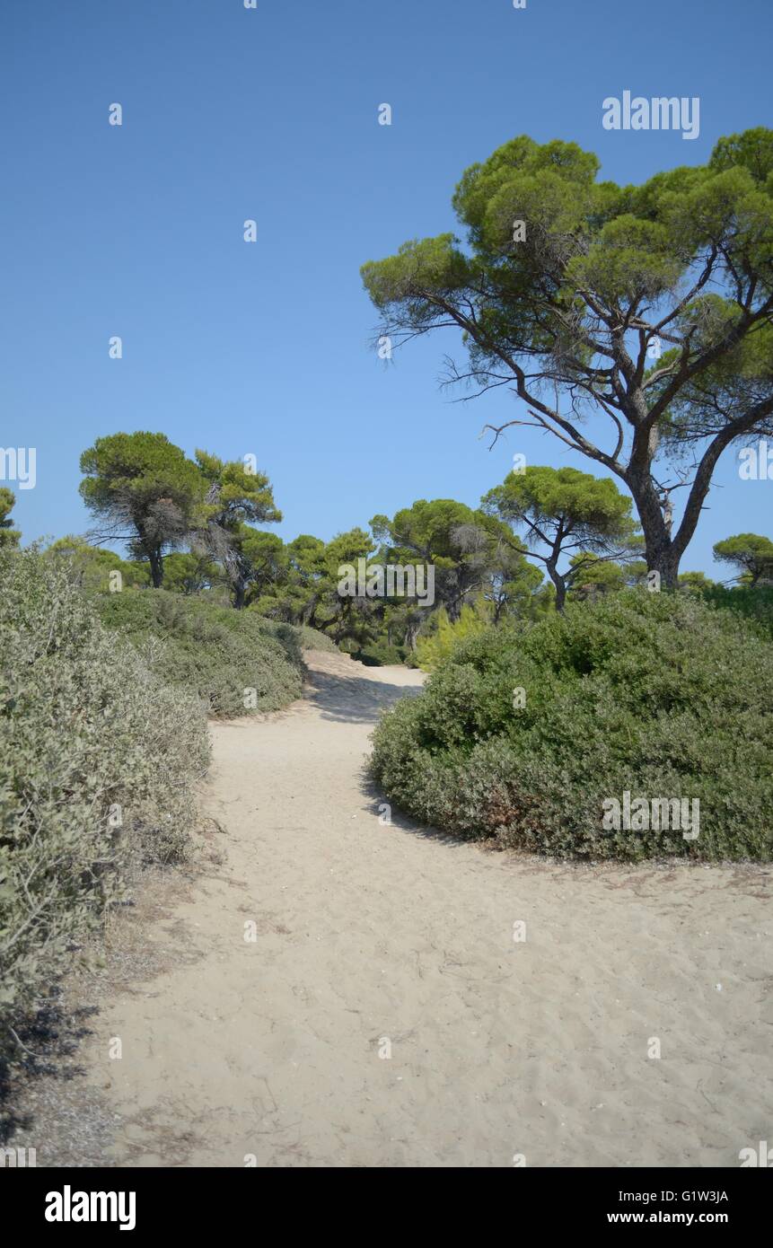 Ein Tag am Strand mit der Familie. Strand Schinias Marathonas Stadt 42 ...