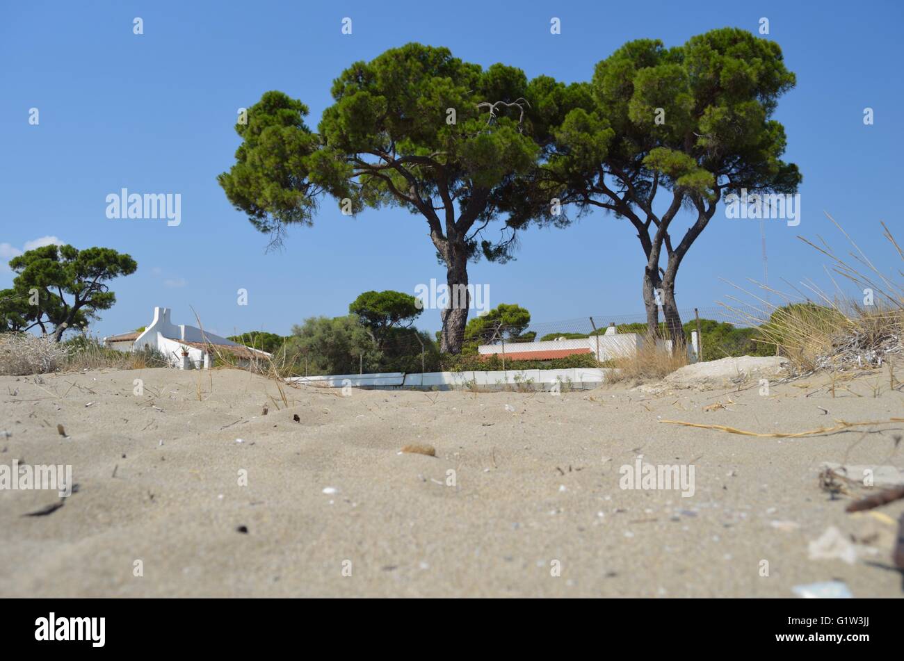 Beach athens -Fotos und -Bildmaterial in hoher Auflösung – Alamy