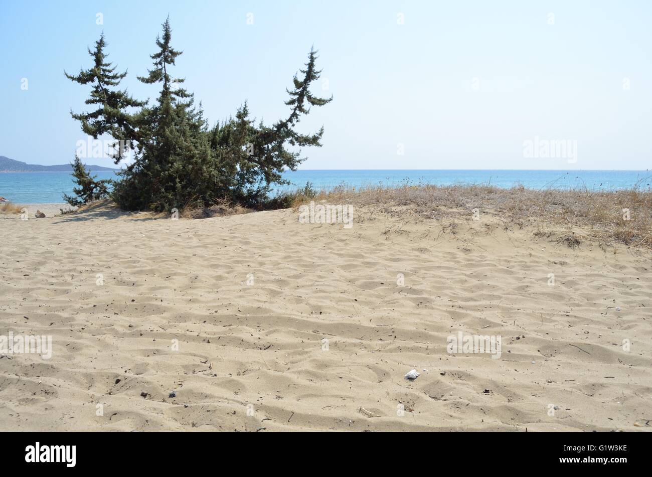 Ein tag am strand mit der familie schinias beach -Fotos und ...