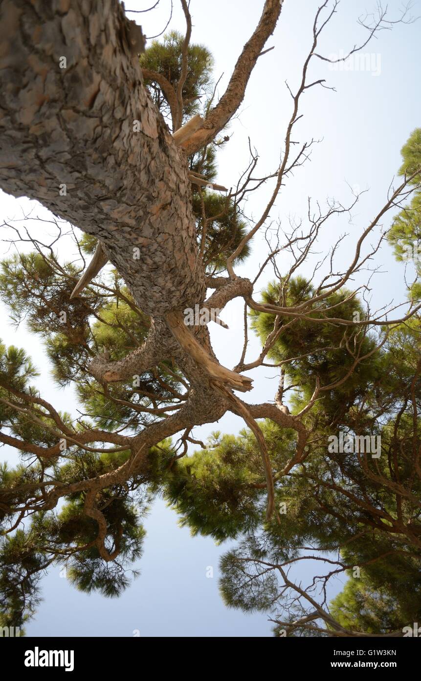 Ein Tag am Strand mit der Familie. Strand Schinias Marathonas Stadt 42 ...