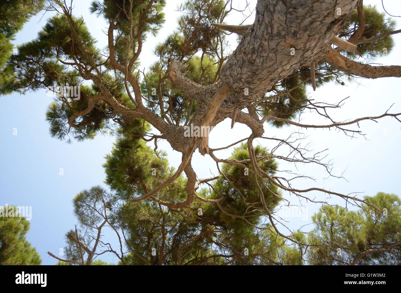 Ein Tag am Strand mit der Familie. Strand Schinias Marathonas Stadt 42 ...