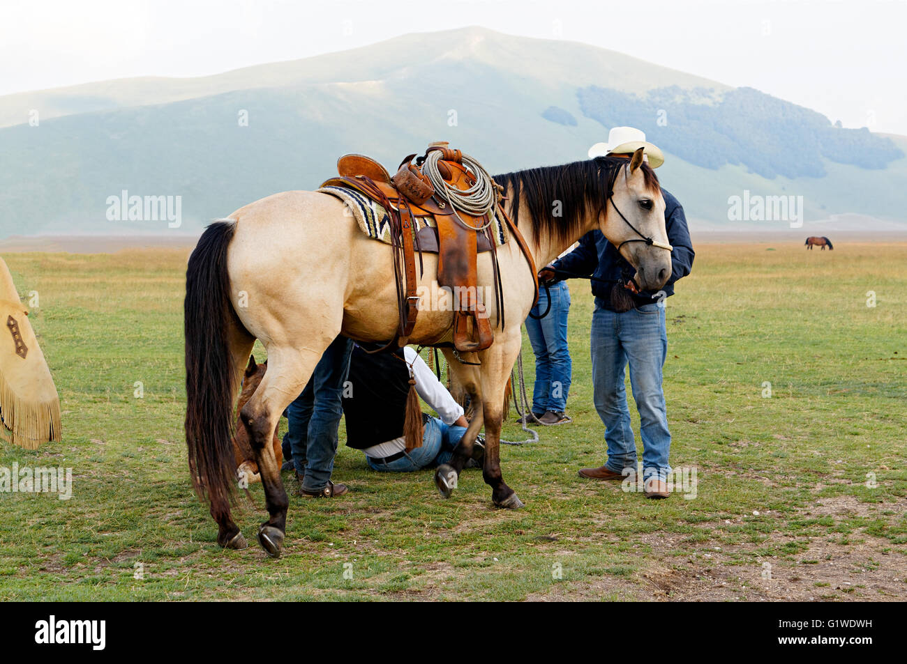 Vintage-Ledersattel Pferd gesattelt. Unter den Bergen von Italien ...