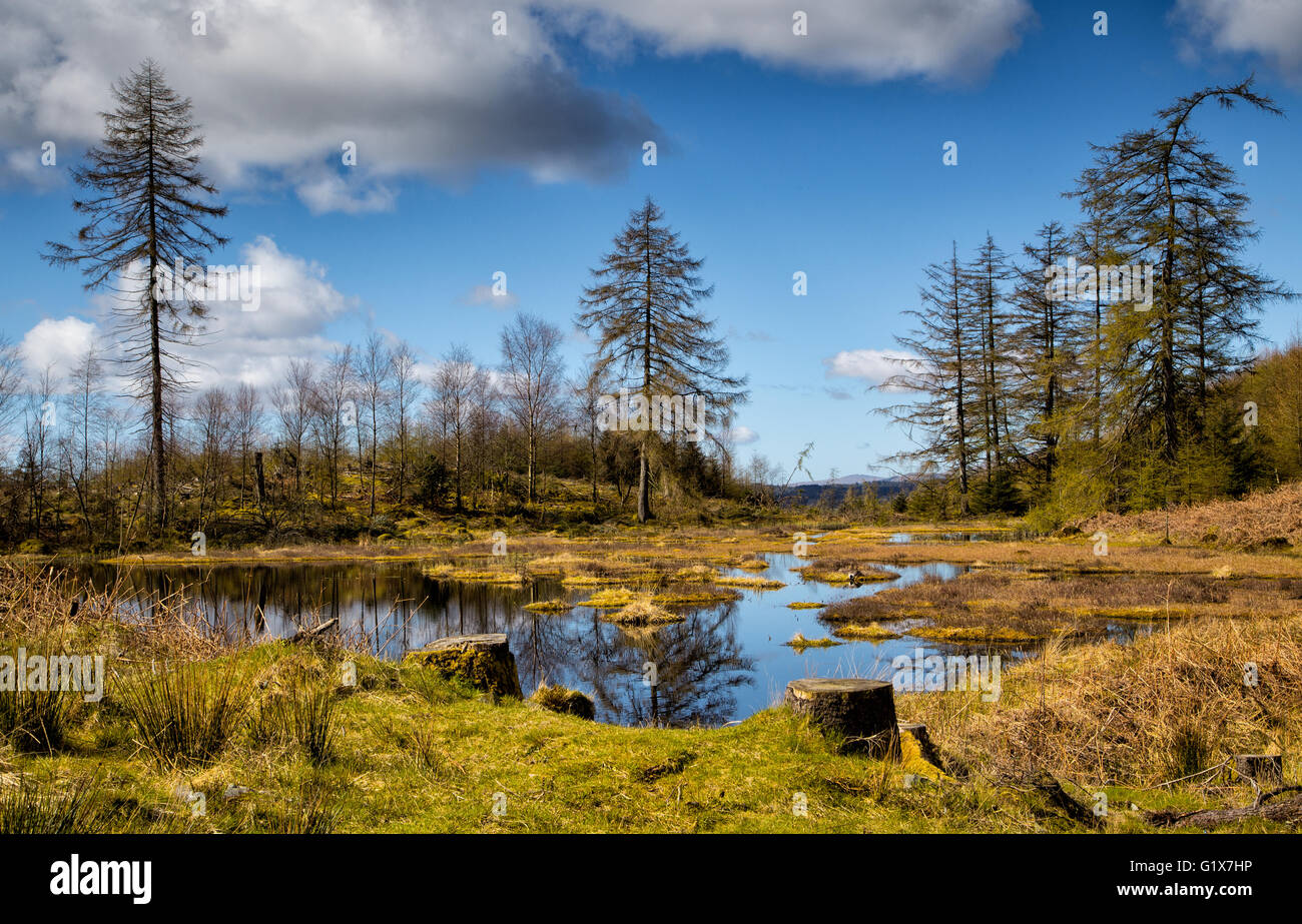 Beatrix potter land -Fotos und -Bildmaterial in hoher Auflösung – Alamy