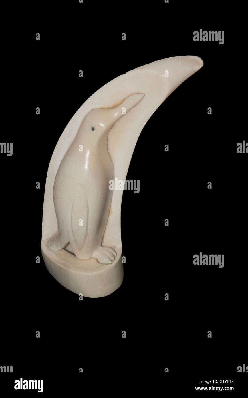Scrimshaw ivory whaling -Fotos und -Bildmaterial in hoher Auflösung – Alamy