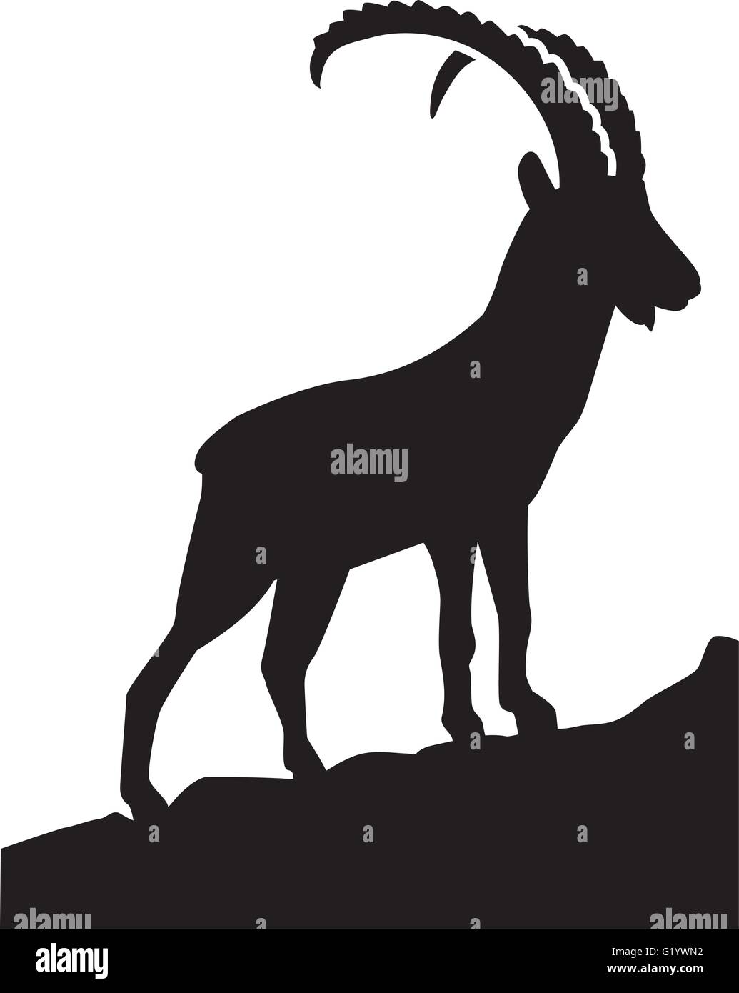 Der steinbock in der natur Stock-Vektorgrafiken kaufen - Alamy