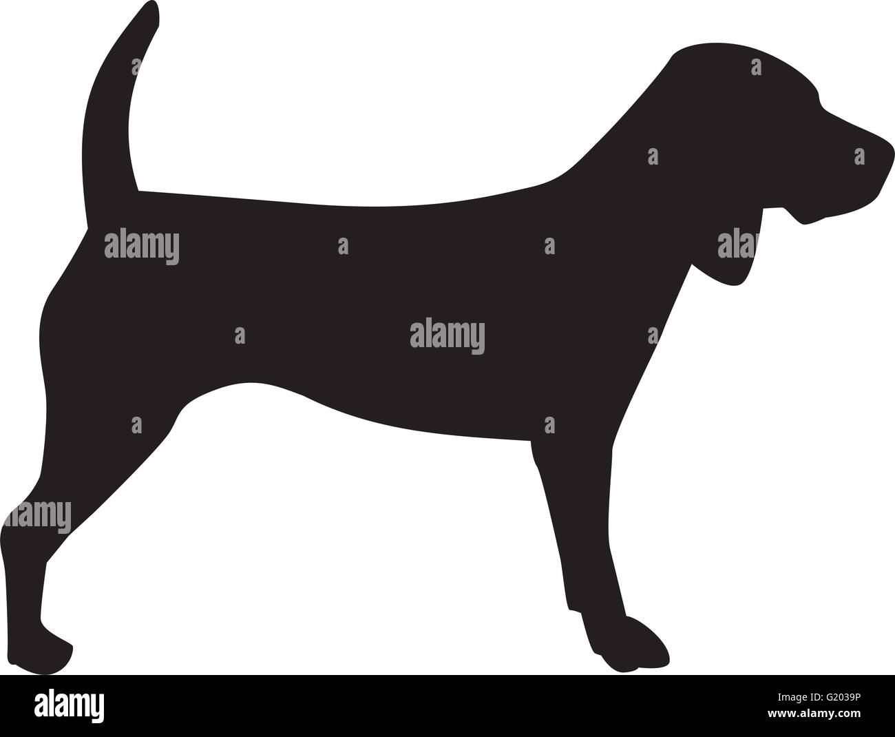 Beagle vector vectors -Fotos und -Bildmaterial in hoher Auflösung – Alamy