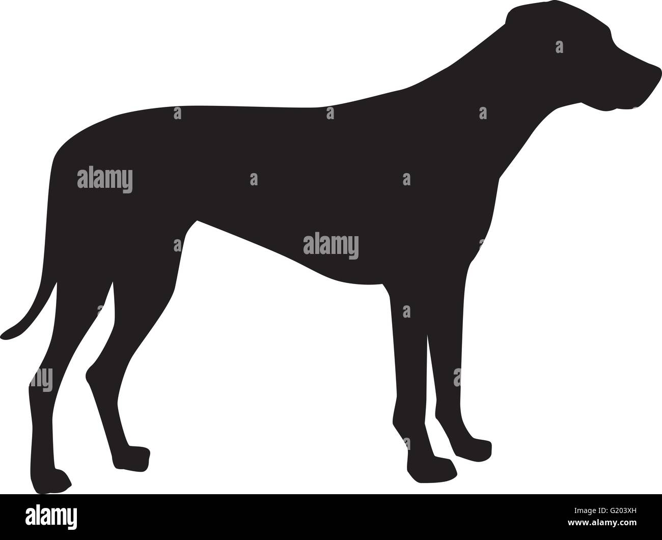Rhodesian ridgeback silhouette -Fotos und -Bildmaterial in hoher ...