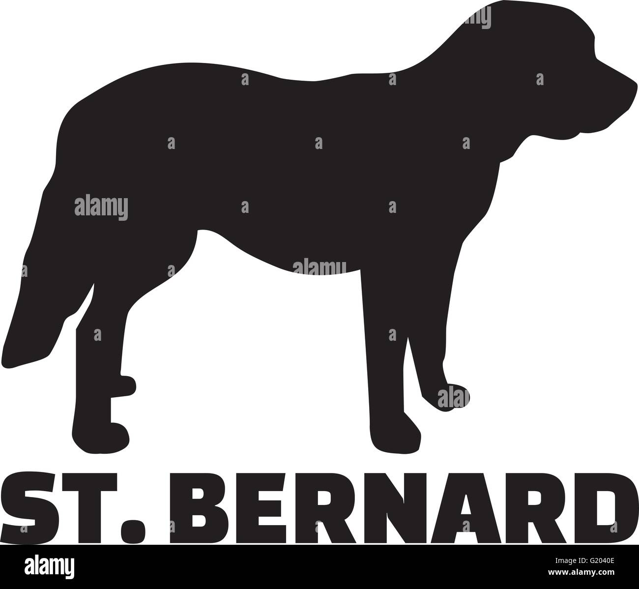 Bernhardiner hund silhouette -Fotos und -Bildmaterial in hoher ...