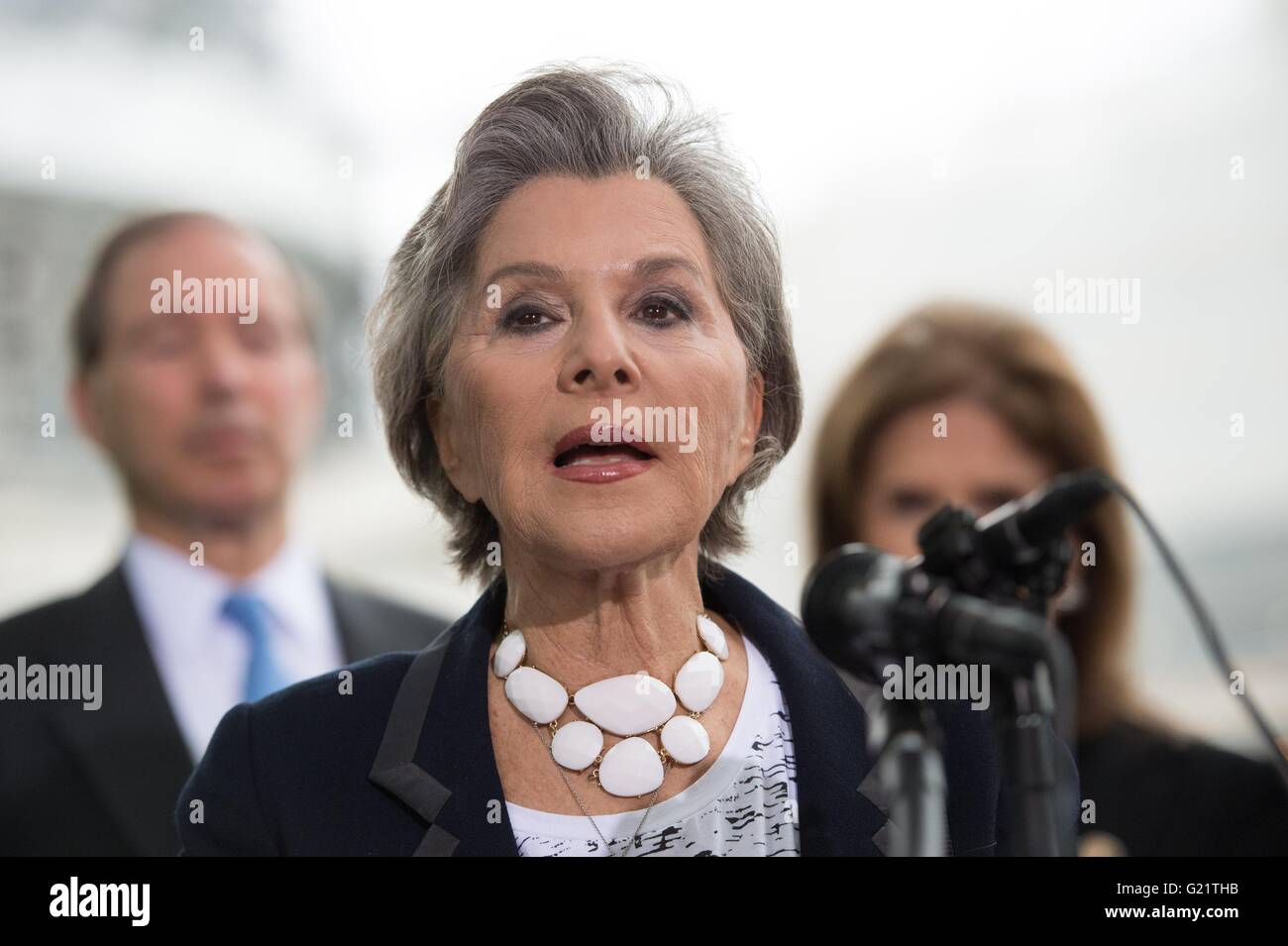 Barbara boxerportrait -Fotos und -Bildmaterial in hoher Auflösung – Alamy