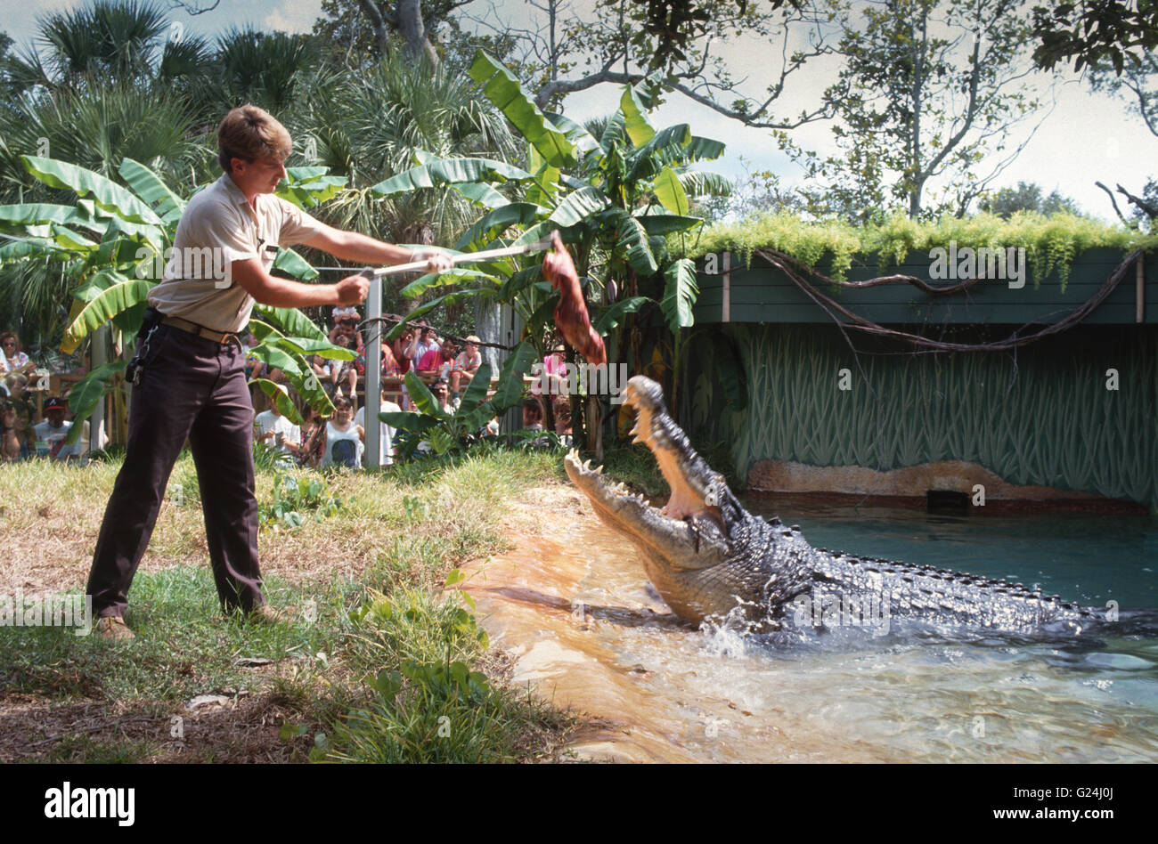 Keeper speist einen riesigen Alligator Gator Farm in Florida ...