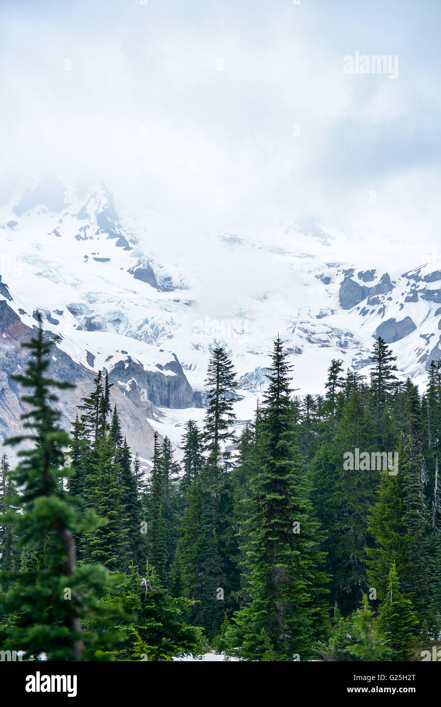 Ranier nationalpark -Fotos und -Bildmaterial in hoher Auflösung – Alamy