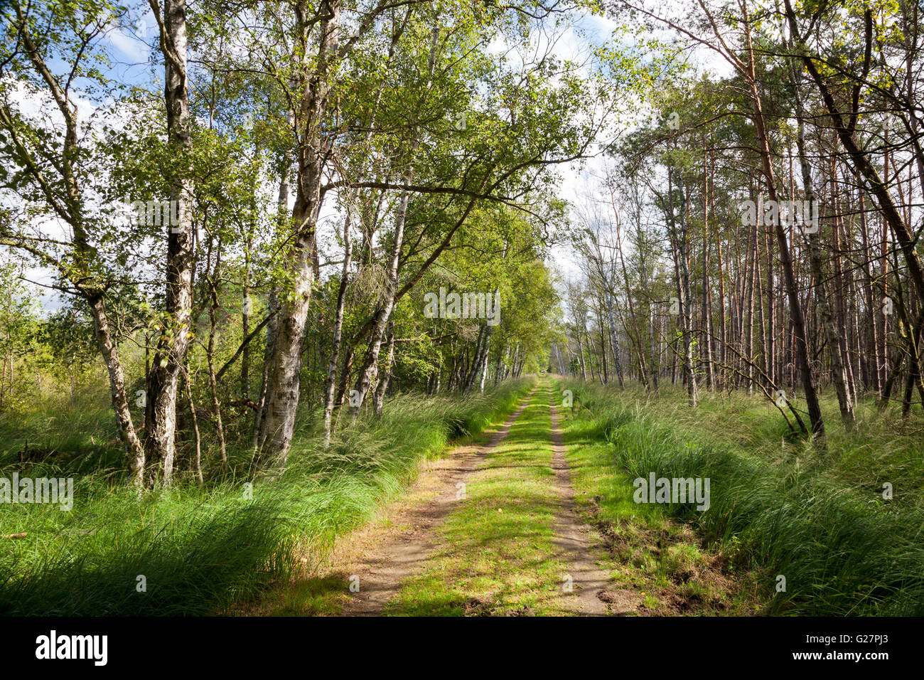 Ribnitz damgarten -Fotos und -Bildmaterial in hoher Auflösung – Alamy