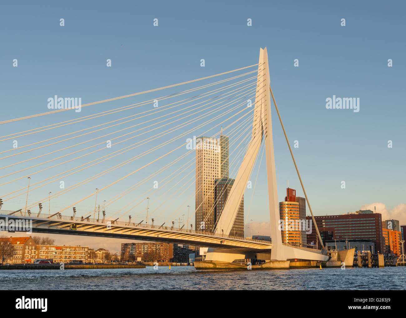 Schwan rotterdam Stockfotos und -bilder Kaufen - Alamy