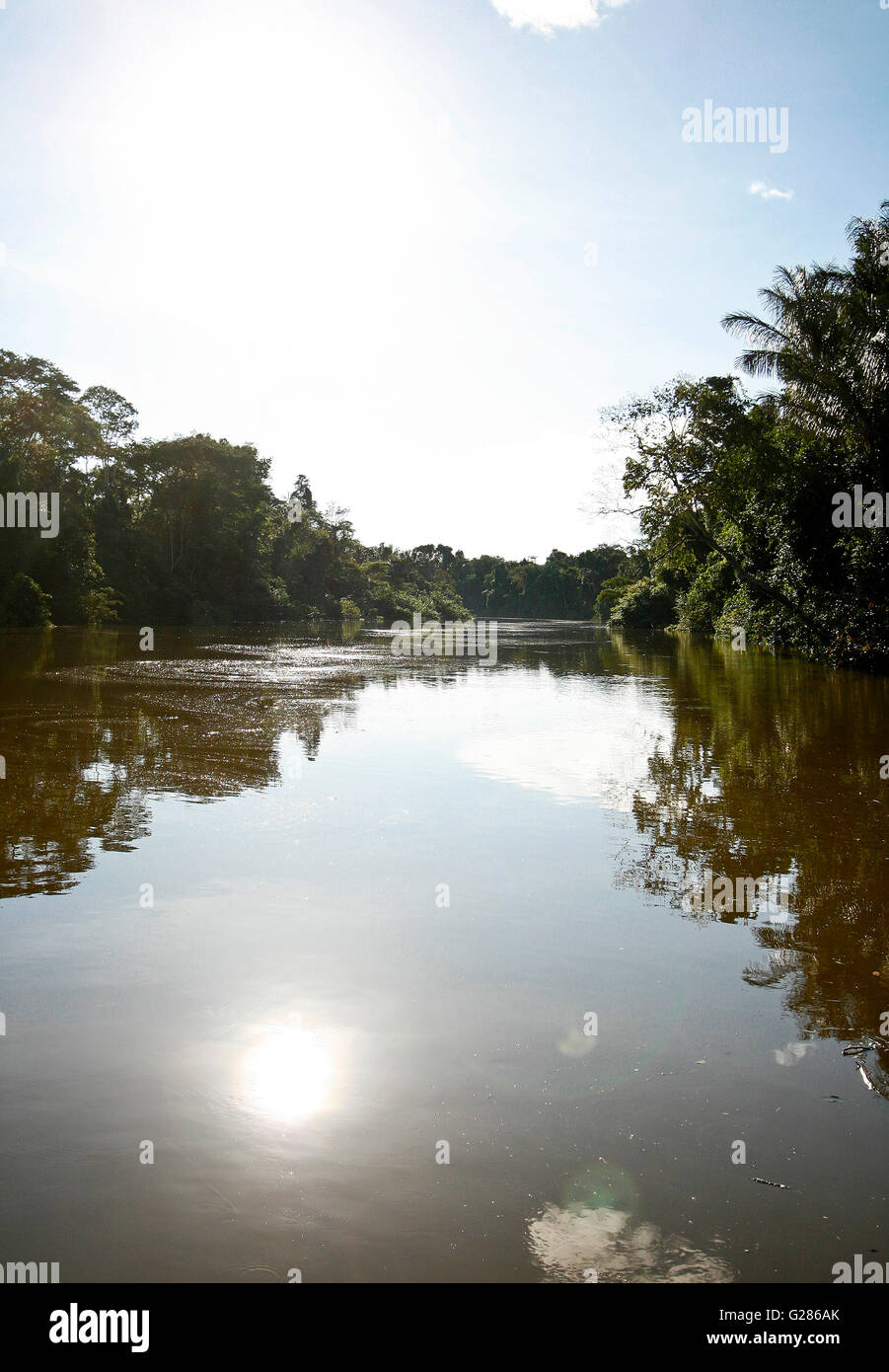 Amazonas-Regenwald. Remoyacu. Peru Stockfotografie - Alamy