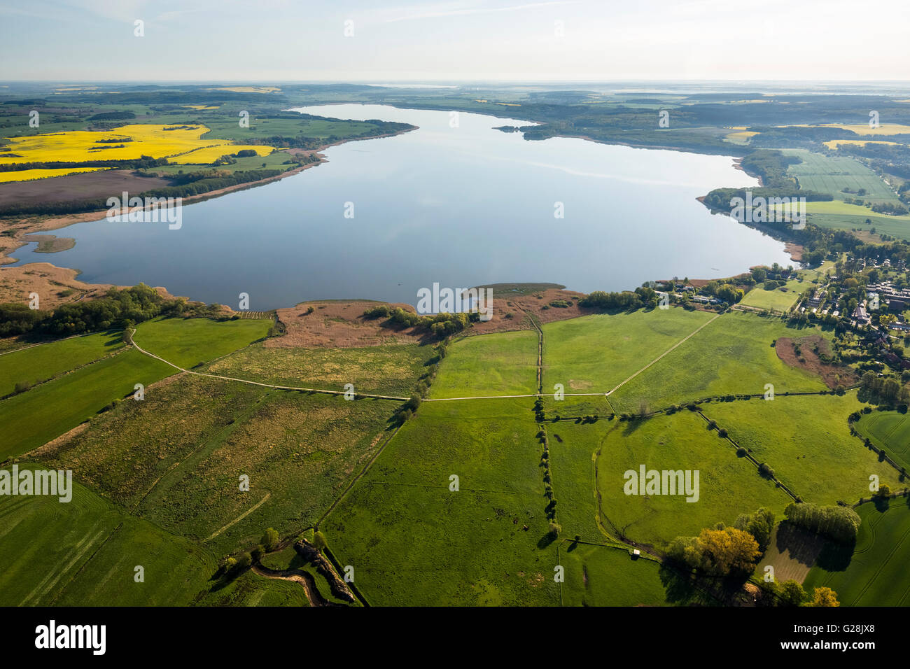 Mecklenburger malchin -Fotos und -Bildmaterial in hoher Auflösung – Alamy