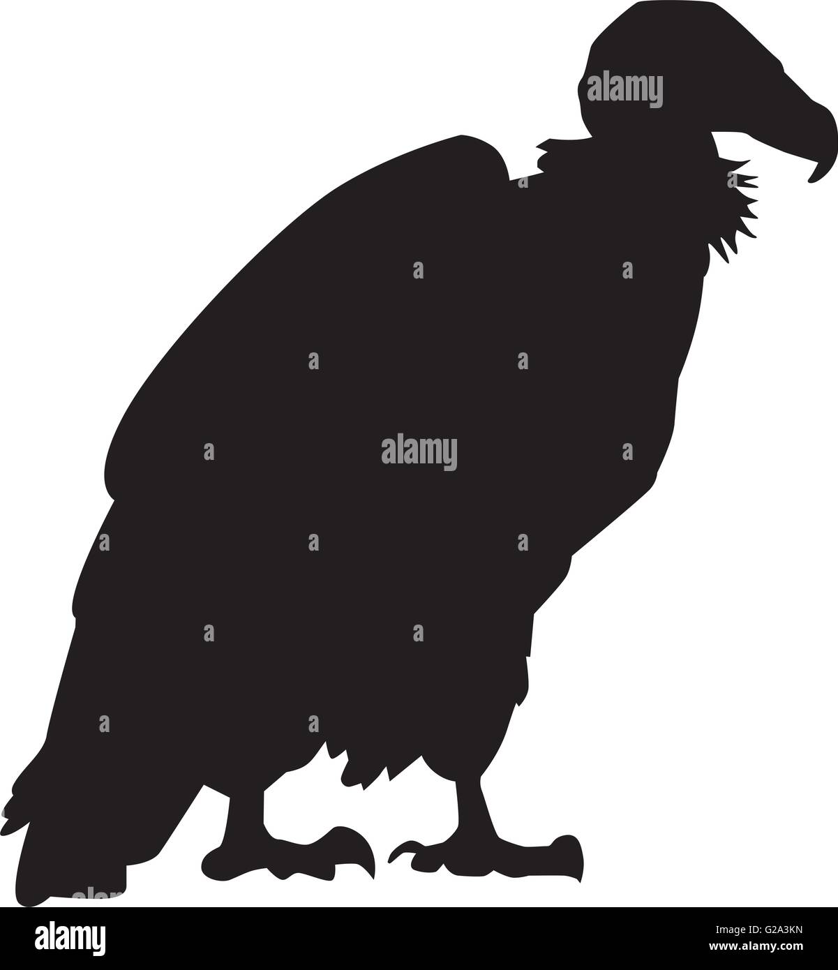 Geier silhouette Stock-Vektorgrafiken kaufen - Alamy