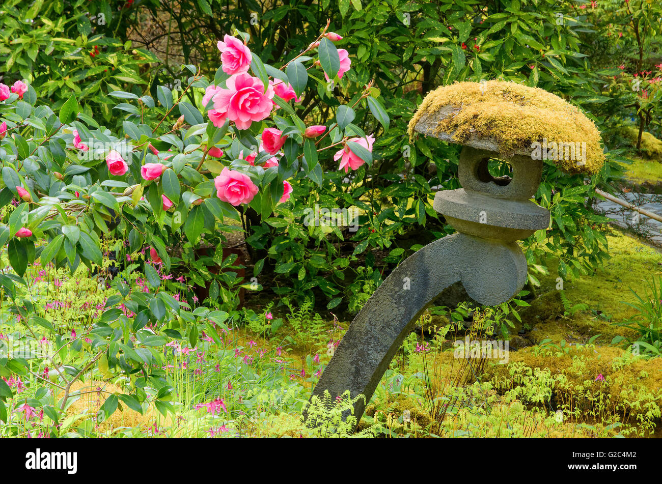 Mit ishidoro steinlaterne -Fotos und -Bildmaterial in hoher Auflösung ...