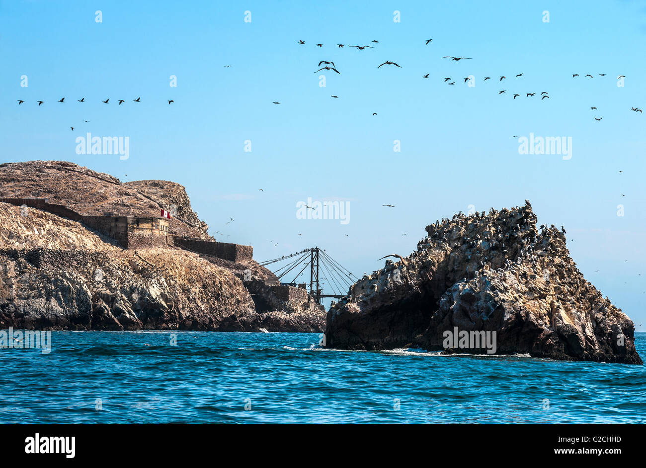 Ballestas Inseln, Paracas National Reserve. Das allererste Marine ...