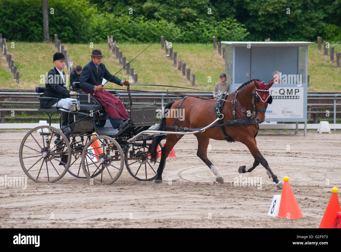 Rennen Mit Vier Pferden Stockfotos und -bilder Kaufen - Alamy