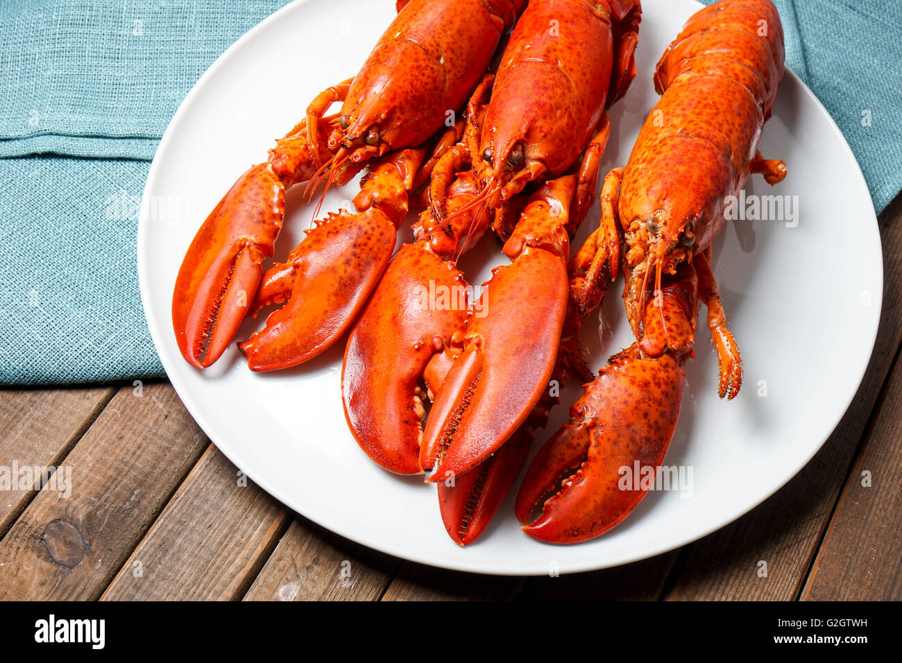 Gekochte rote Hummer serviert auf weißen Teller bereit für Essen ...