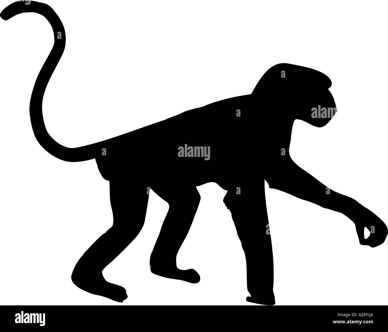 Affe grafik -Fotos und -Bildmaterial in hoher Auflösung – Alamy