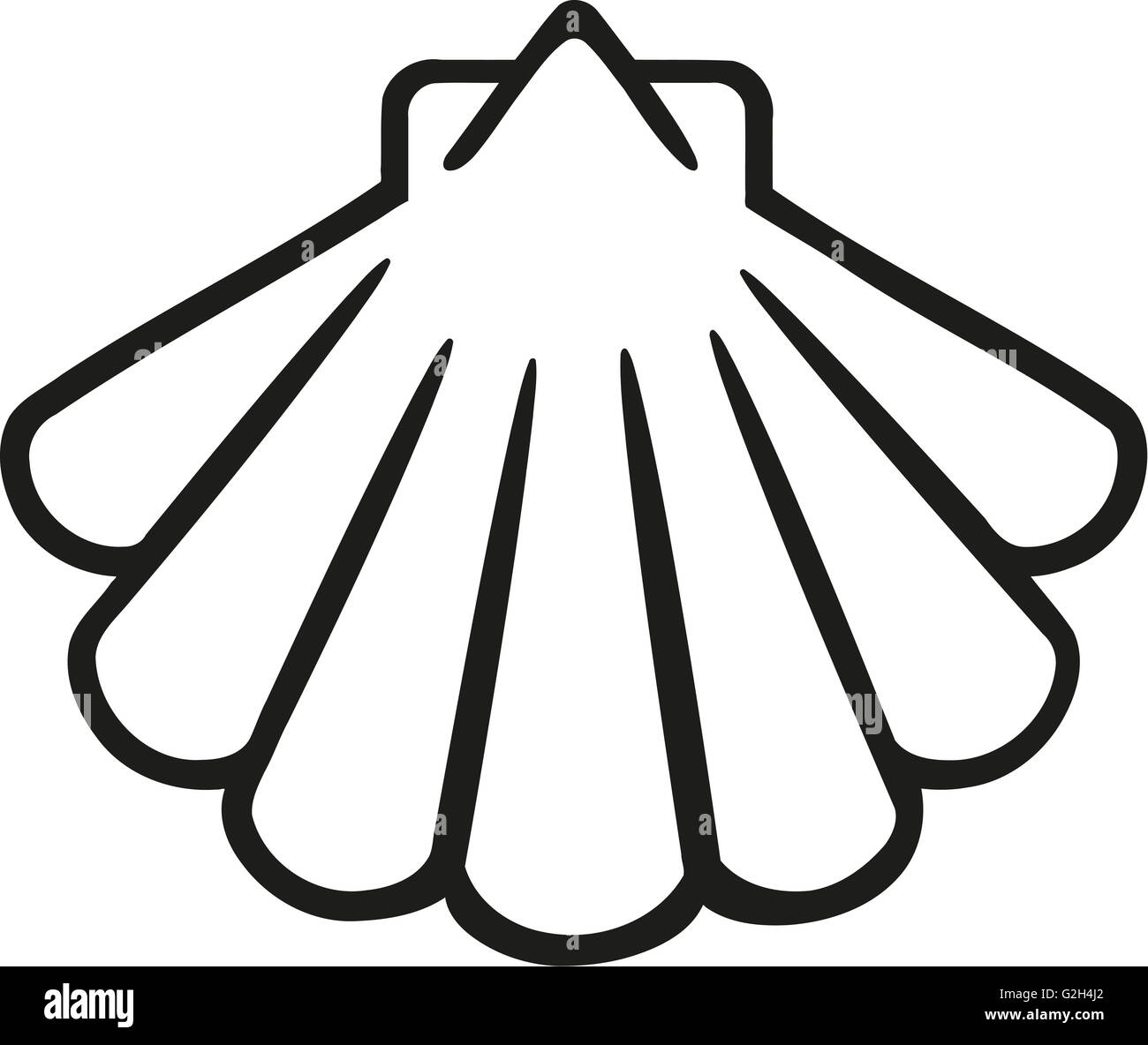 Shell snail contour -Fotos und -Bildmaterial in hoher Auflösung – Alamy