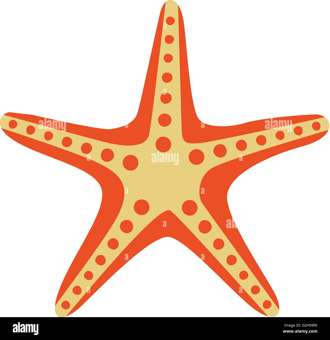Starfish Cartoon Stockfotos und -bilder Kaufen - Alamy