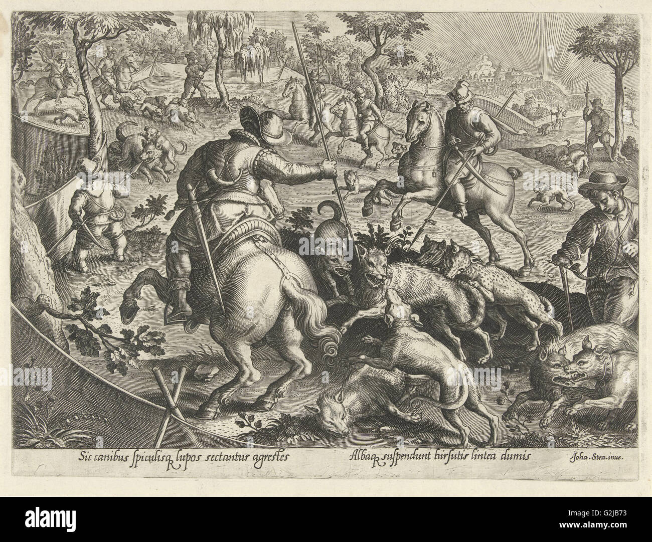 Wolf hunt fox prey -Fotos und -Bildmaterial in hoher Auflösung – Alamy