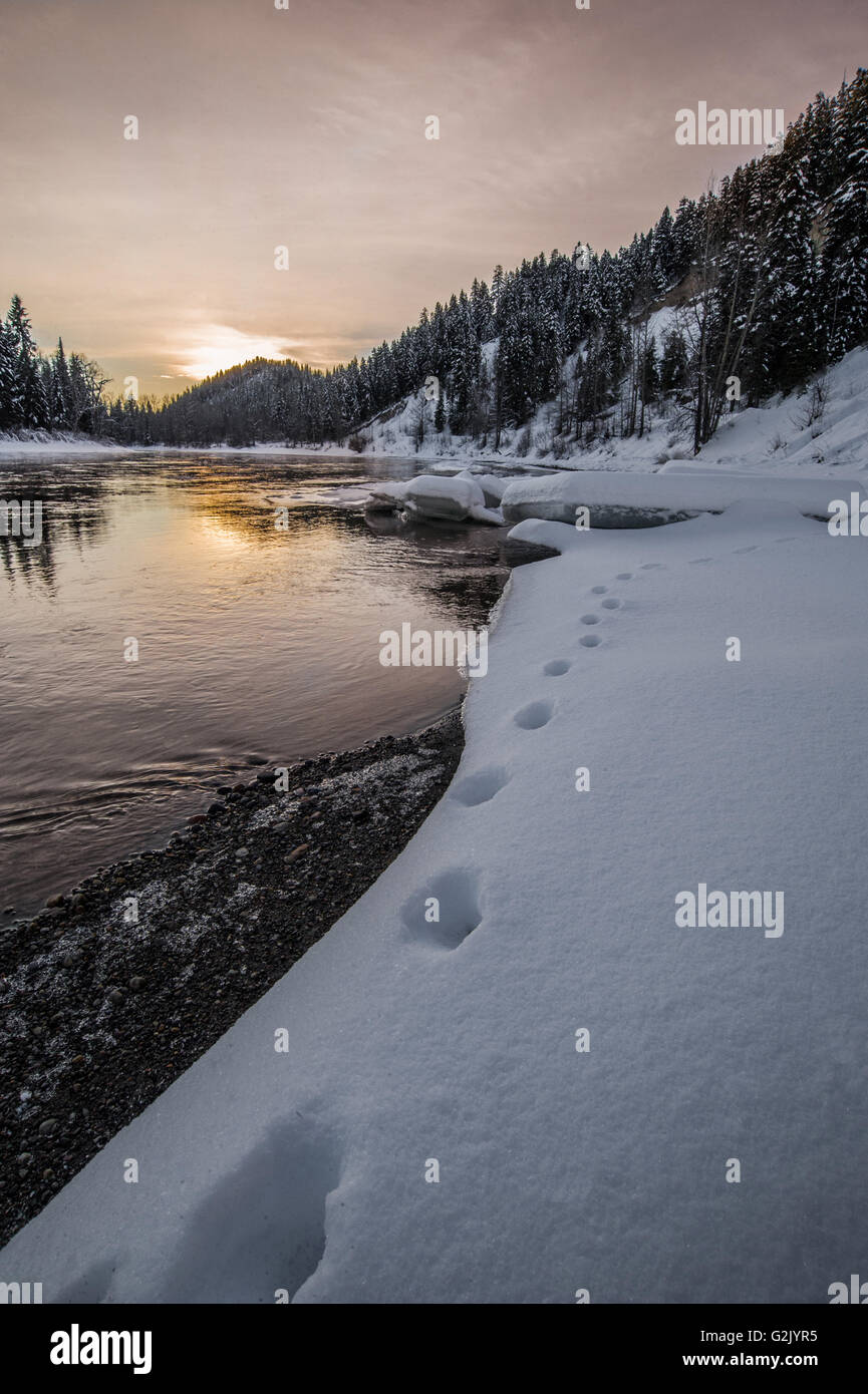Nechako river -Fotos und -Bildmaterial in hoher Auflösung – Alamy