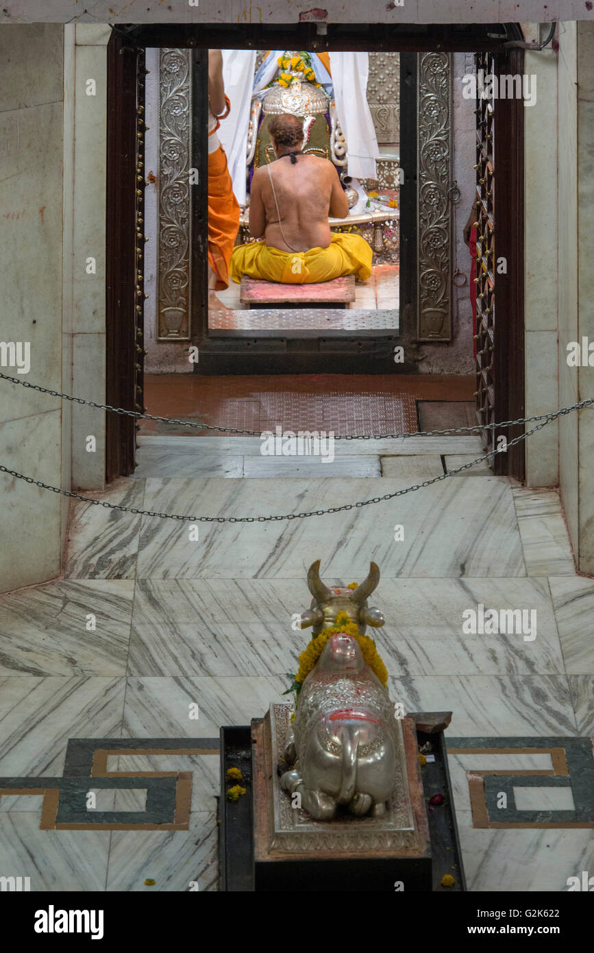 Priester verehren Idol In Nische vor Silber heilige Kuh In der ...