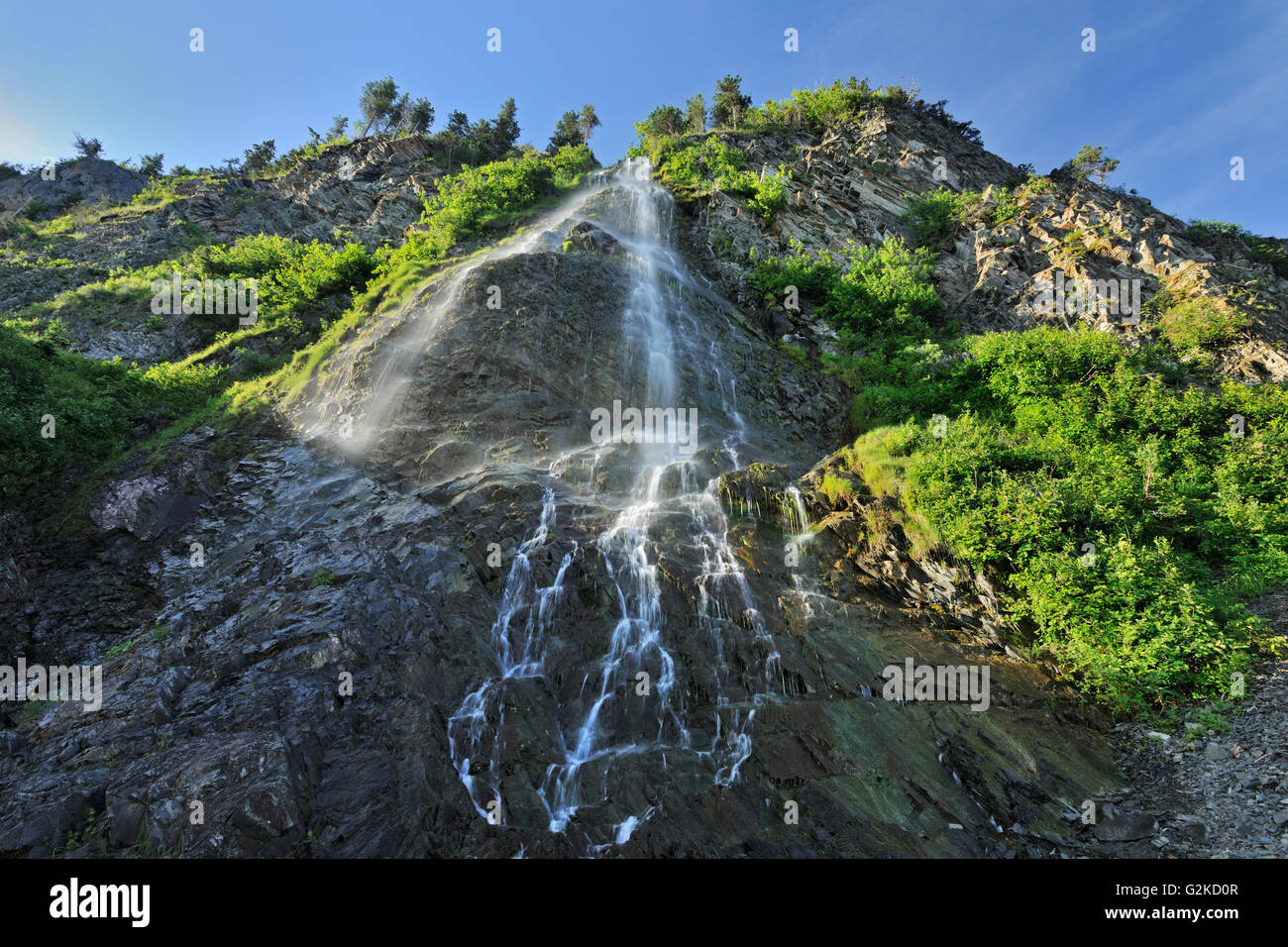La martre quebec -Fotos und -Bildmaterial in hoher Auflösung – Alamy