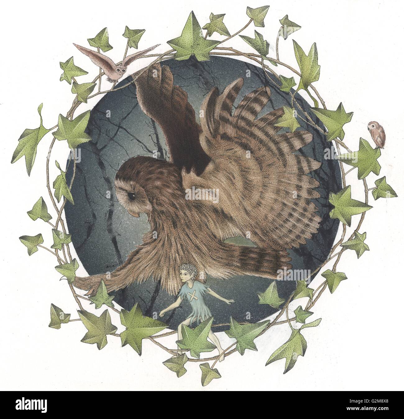 Owls illustrations -Fotos und -Bildmaterial in hoher Auflösung – Alamy