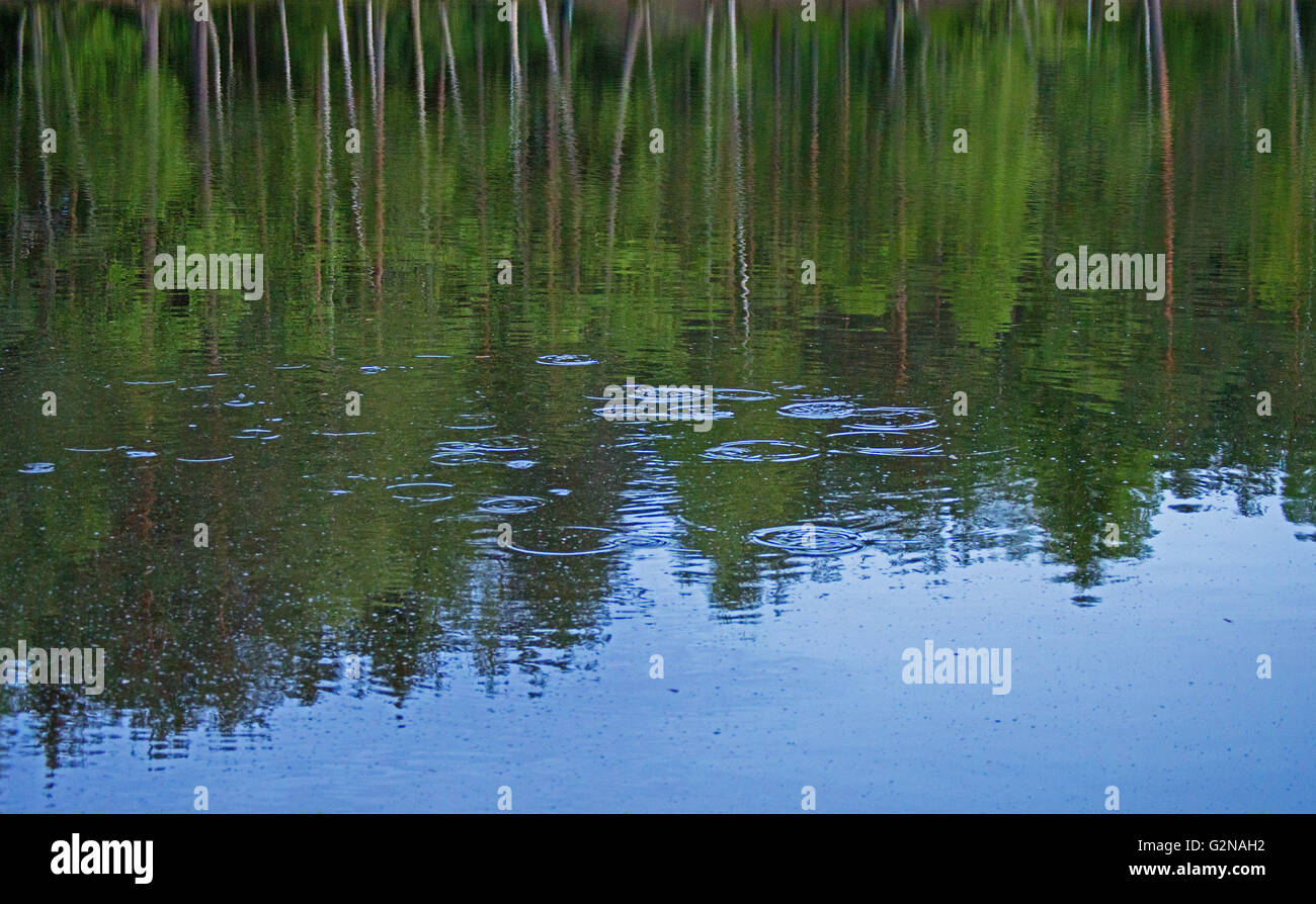 Wasser tropfen -Fotos und -Bildmaterial in hoher Auflösung – Alamy