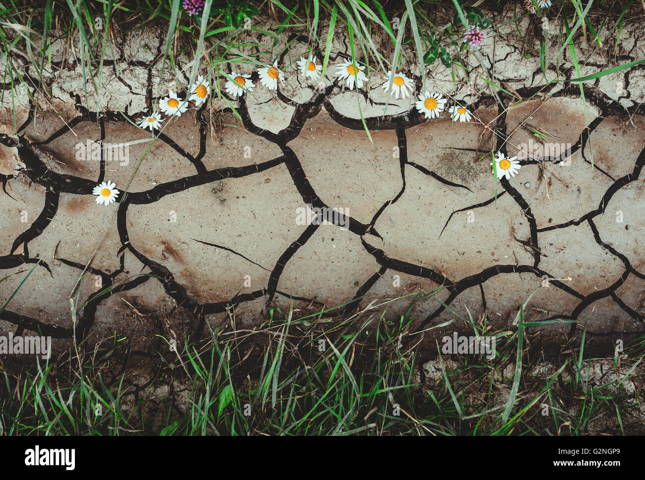 Earth grass soil background texture -Fotos und -Bildmaterial in hoher ...