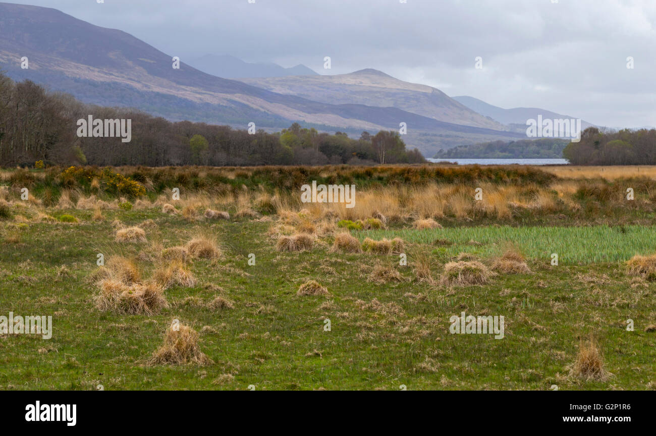 Panoramen in richtung lough leane -Fotos und -Bildmaterial in hoher ...