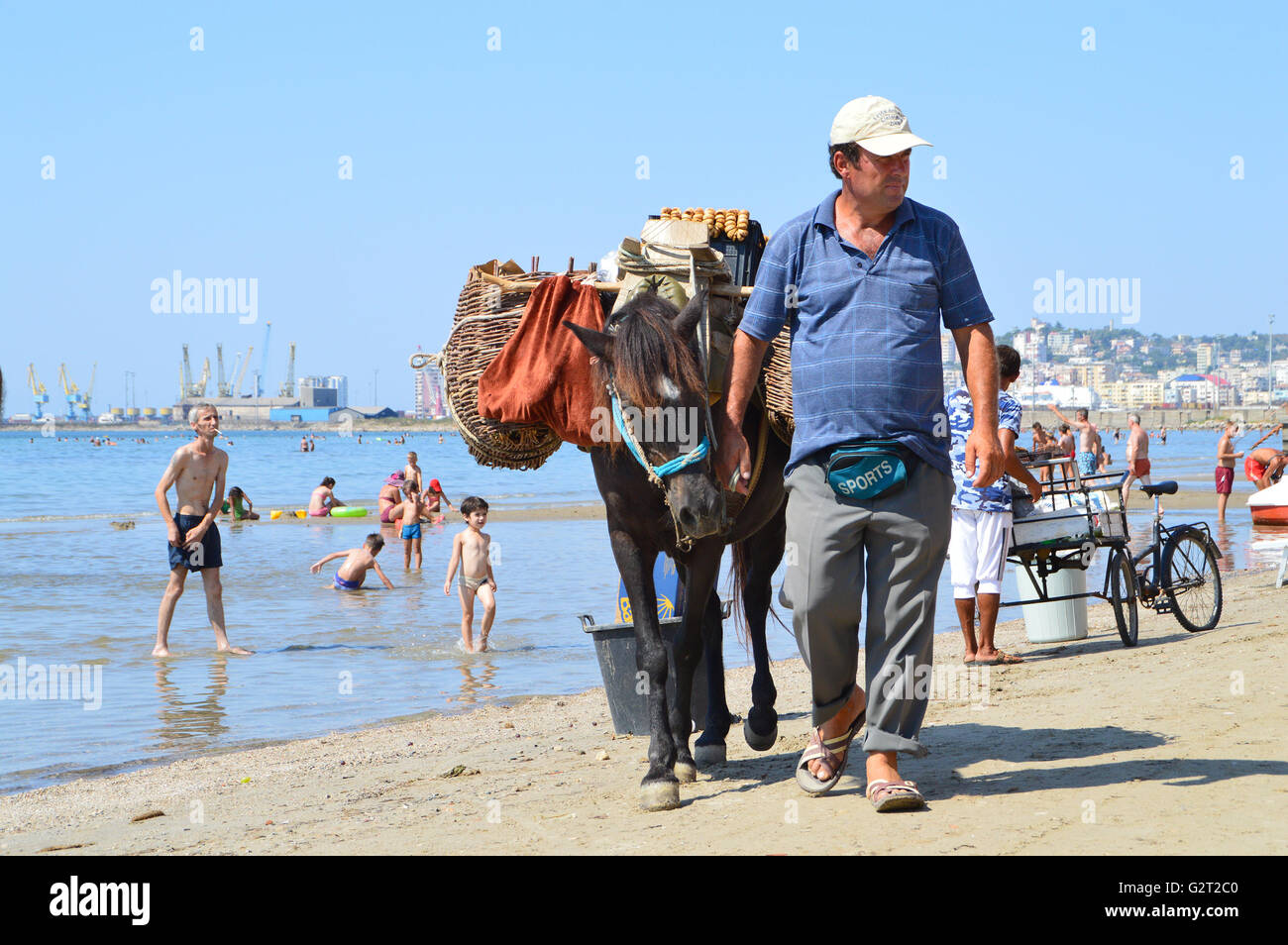 Standard esel -Fotos und -Bildmaterial in hoher Auflösung – Alamy