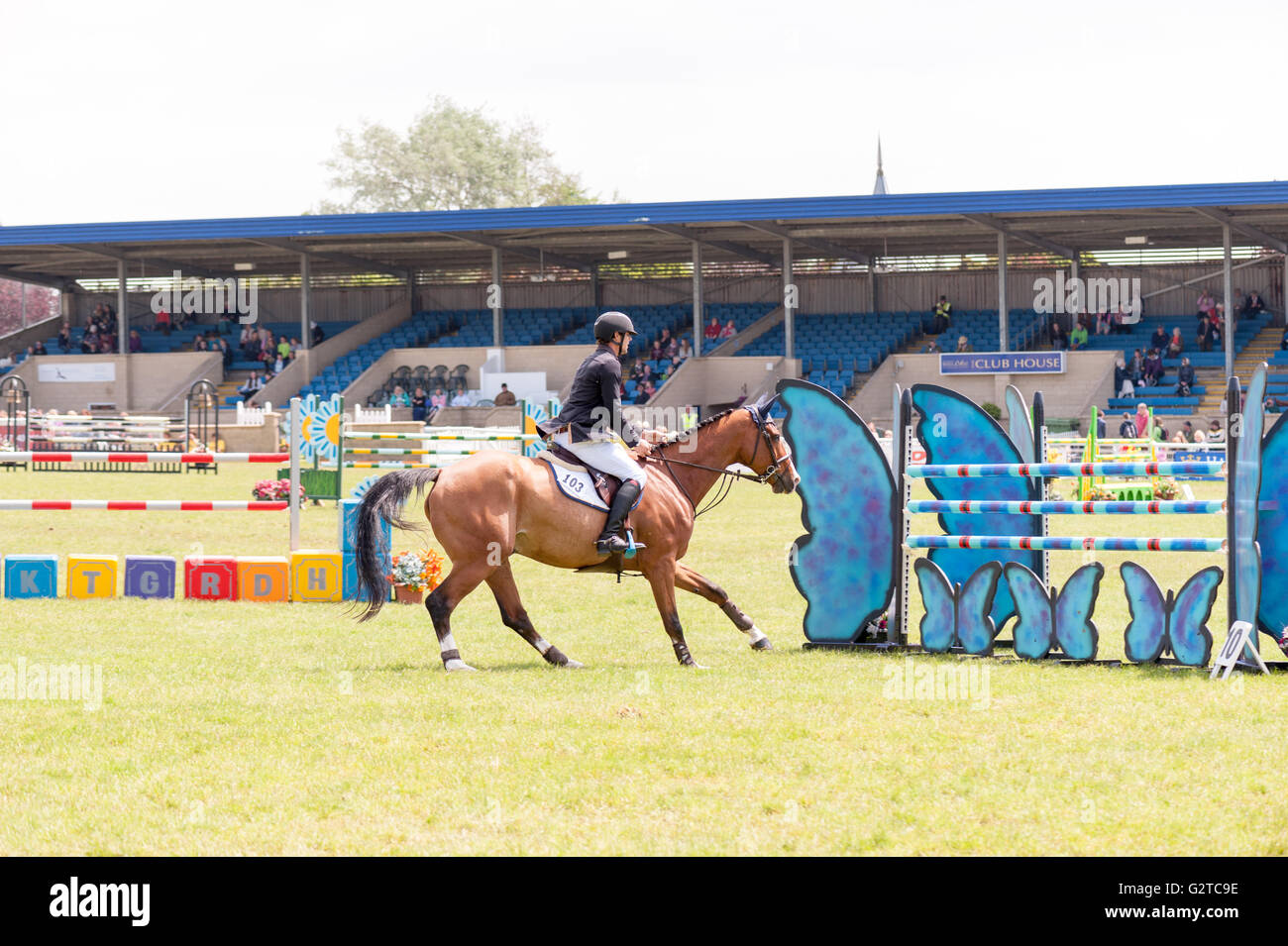 [Pferd springen] Pferd springen [Springreiten] Stockfotografie - Alamy